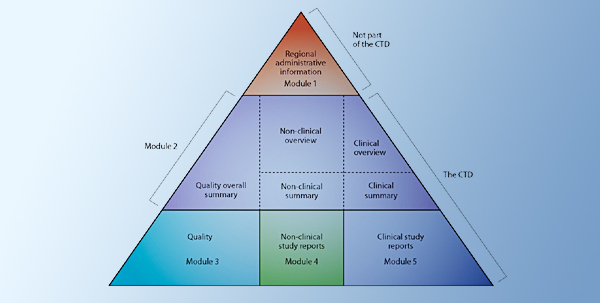 DCVMN E-learning platform